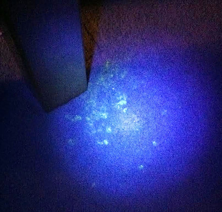 Bio Natural Wee Off UV Torch | Urine Detector | BNWO0393